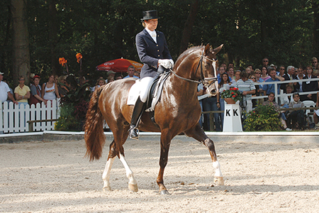 Bolero – The Horse Magazine