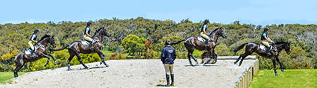 SamGriffiths_2 – The Horse Magazine