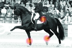 Why is Lameness so common in Dressage Horses? | The Horse Magazine