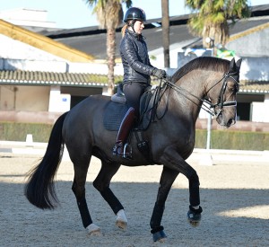 Jerez – Dressage stars, old and new… – The Horse Magazine