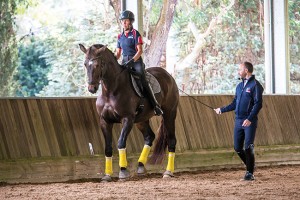 Jeremy Steinberg – more words of wisdom – The Horse Magazine