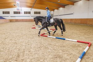 Better dressage through cavaletti training? Yes! – The Horse Magazine