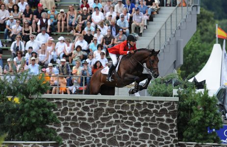 From the Archives: The Americanisation of Champ! – The Horse Magazine