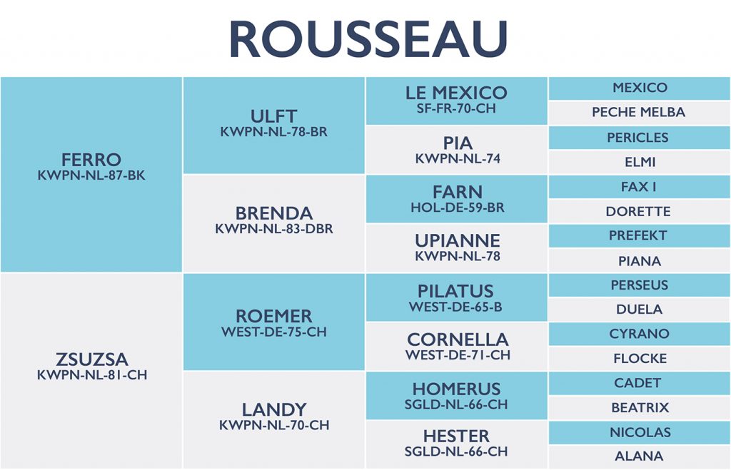 Rousseau – The Horse Magazine