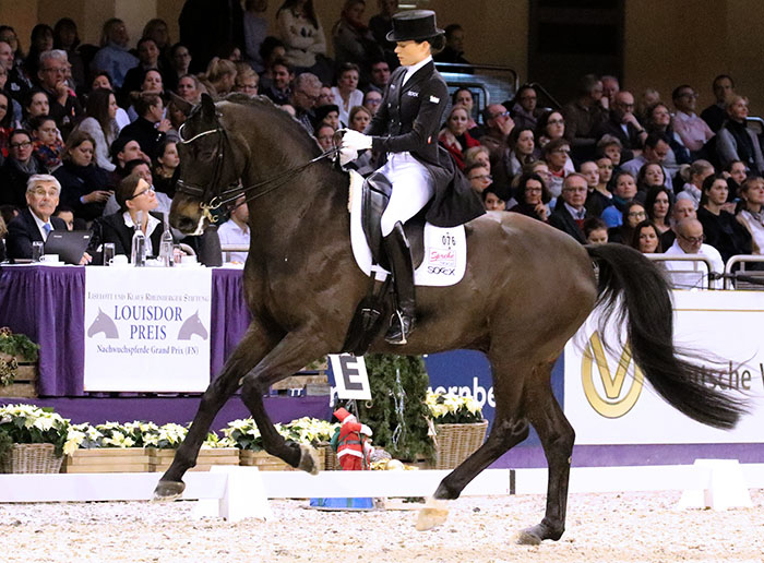 Desperados FRH – The Horse Magazine