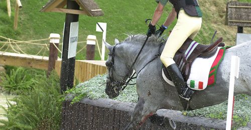 Tad Coffin explains – How (and why!) to ride in forward seat – The ...