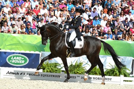 2021 Hanoverian Breeding Values | The Horse Magazine