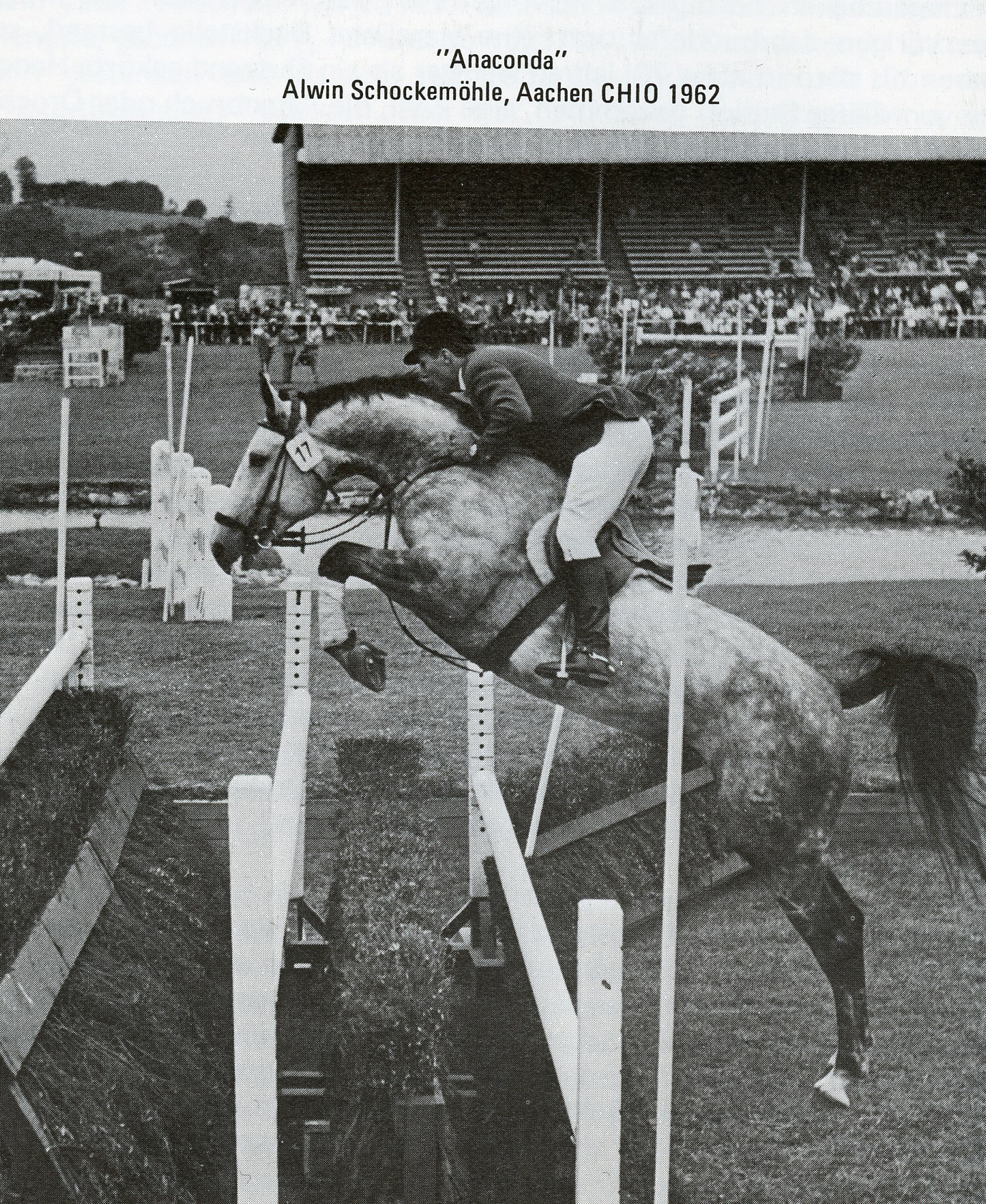 The Greatest Showjumping Mares | The Horse Magazine
