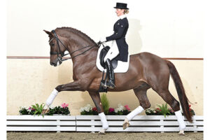 Carl Hester talks to Rebecca Ashton – The Horse Magazine