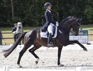 Carl Hester talks to Rebecca Ashton – The Horse Magazine