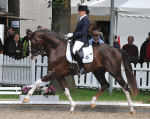horsemagazine | The Horse Magazine
