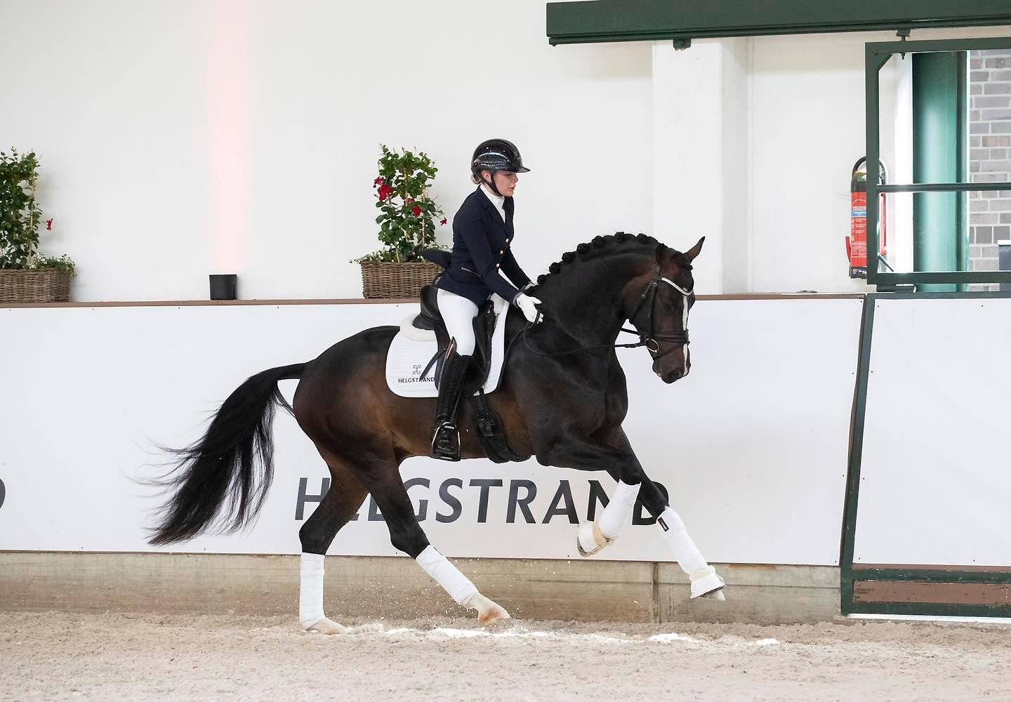 Riding the canter with Carl Hester – The Horse Magazine
