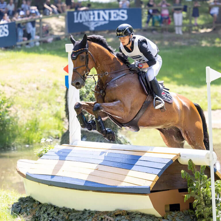 Eventing Stallions the BN rankings – The Horse Magazine