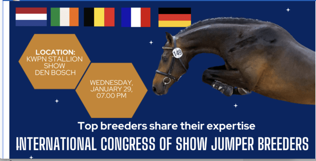 Show Jumping – The Horse Magazine
